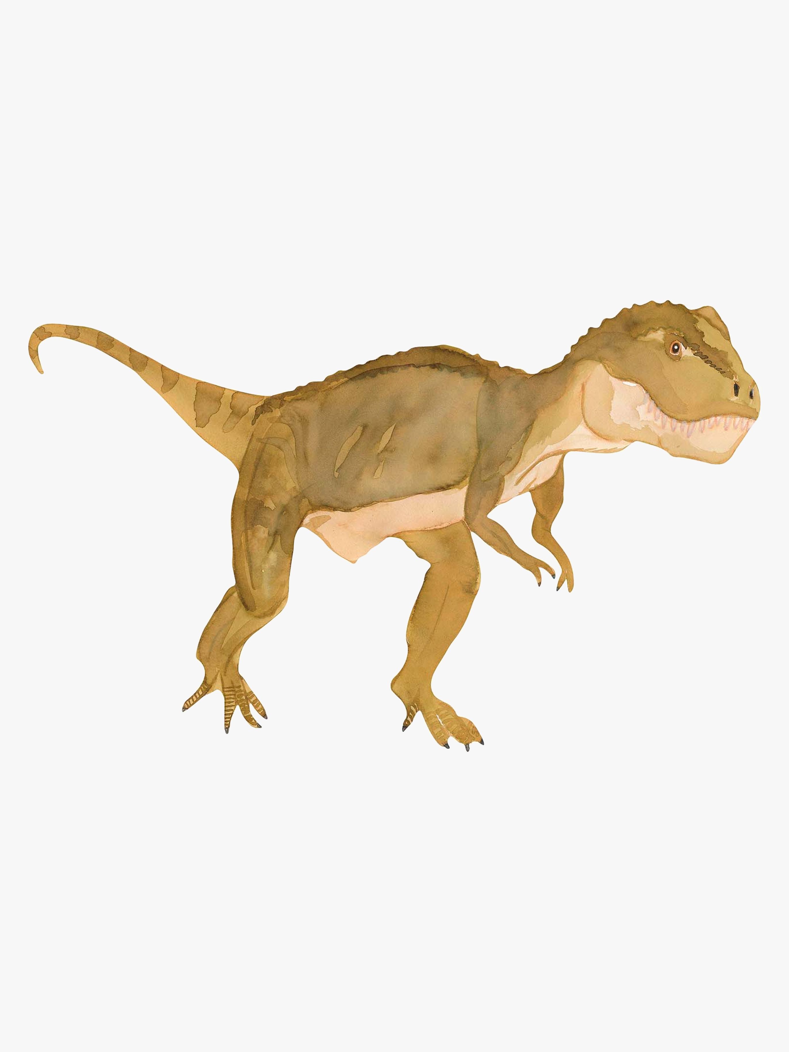 Köp That's Mine Wallsticker T-Rex, Grön